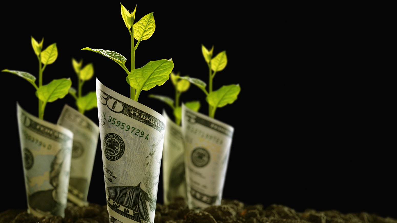 ESG becoming even greater focus for money managers, survey finds ...