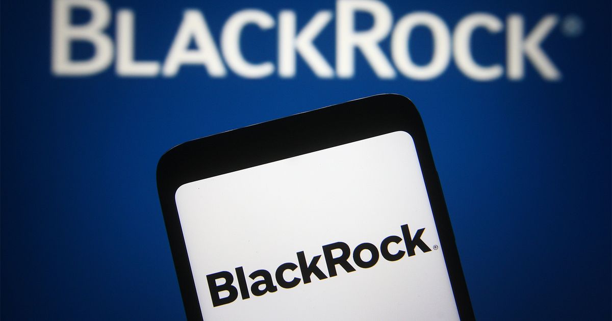 BlackRock debuts ad campaign to burnish image as it faces ESG scrutiny ...