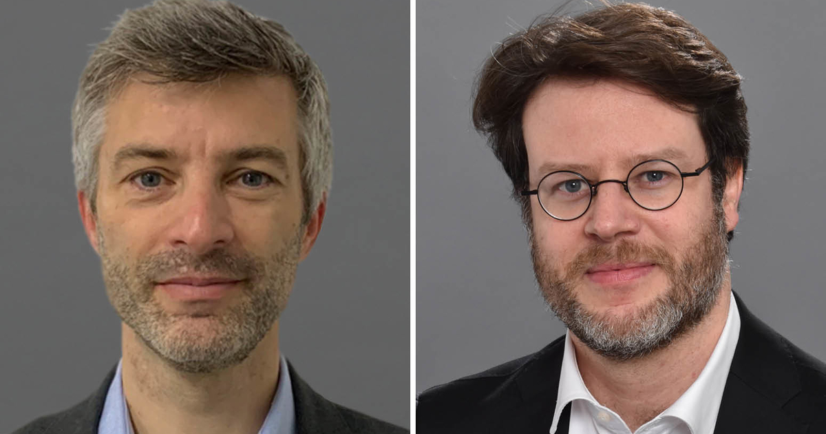 Ardian adds Damien Braud as head of nature-based solutions | Pensions ...