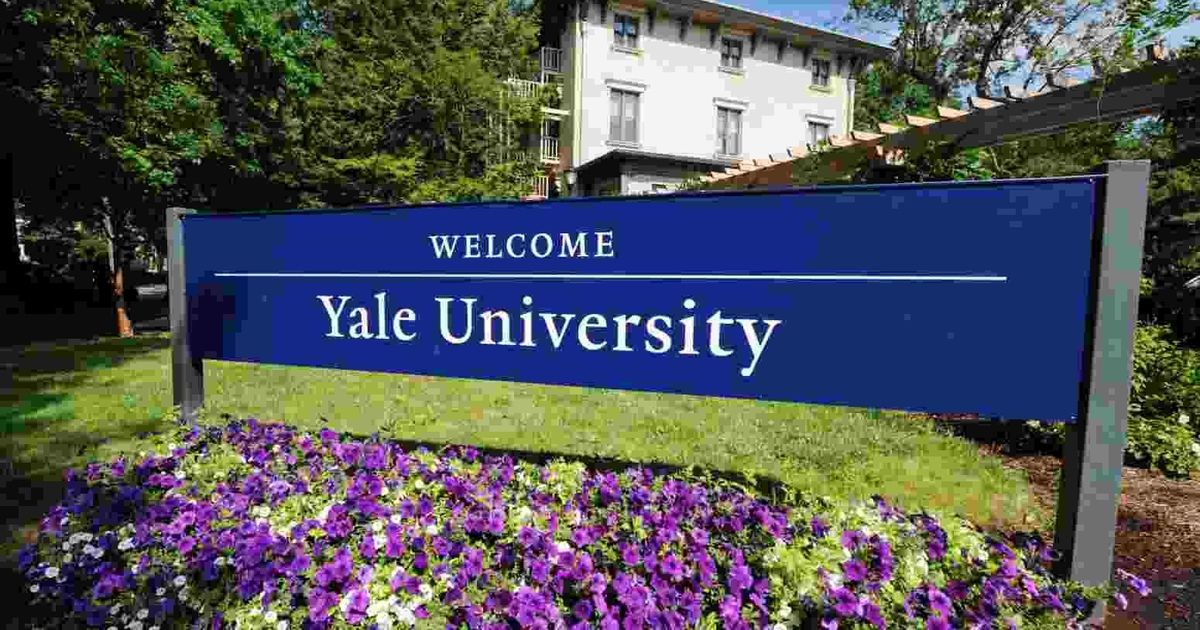 Yale endowment posts 11.3% return | Pensions & Investments