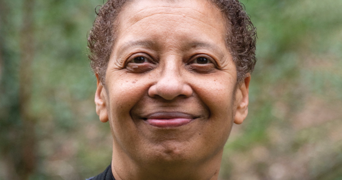 Mary Pugh of Pugh Capital Management named one of P&I's Influential ...