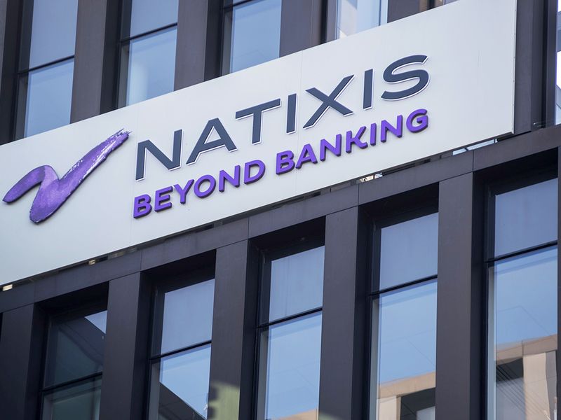 Natixis to sell H2O stake to investment firm's management | Pensions ...